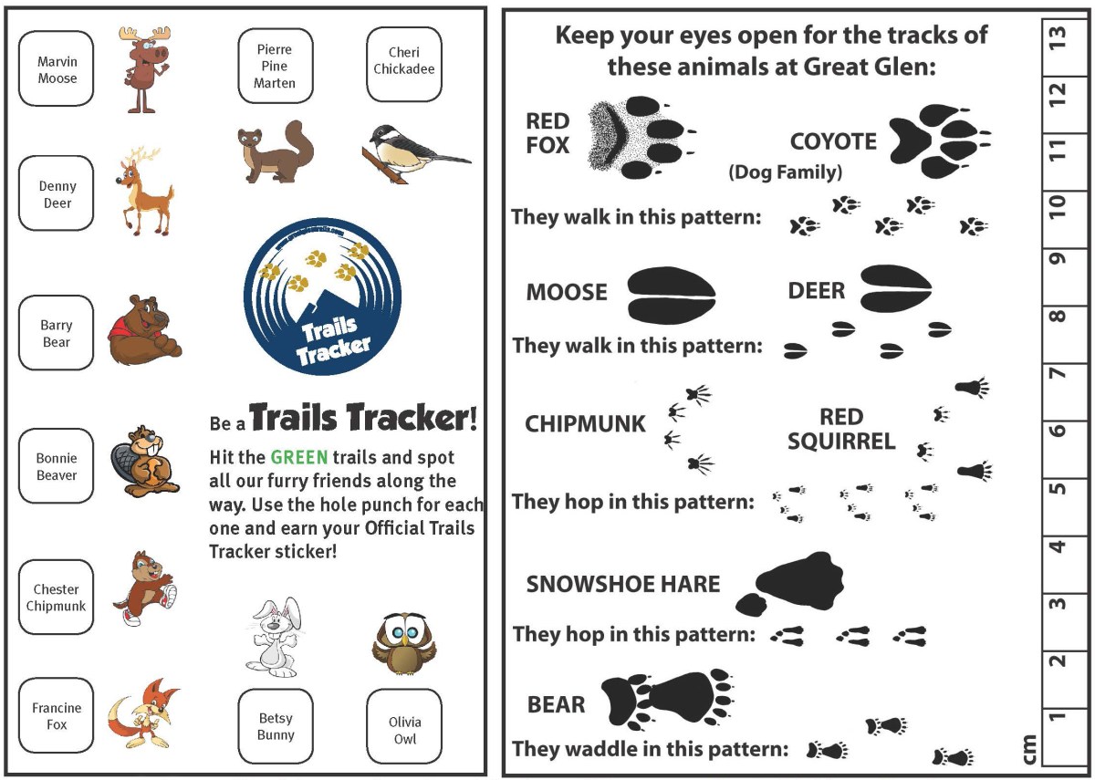 Trail Map | Great Glen Trails Outdoor Center